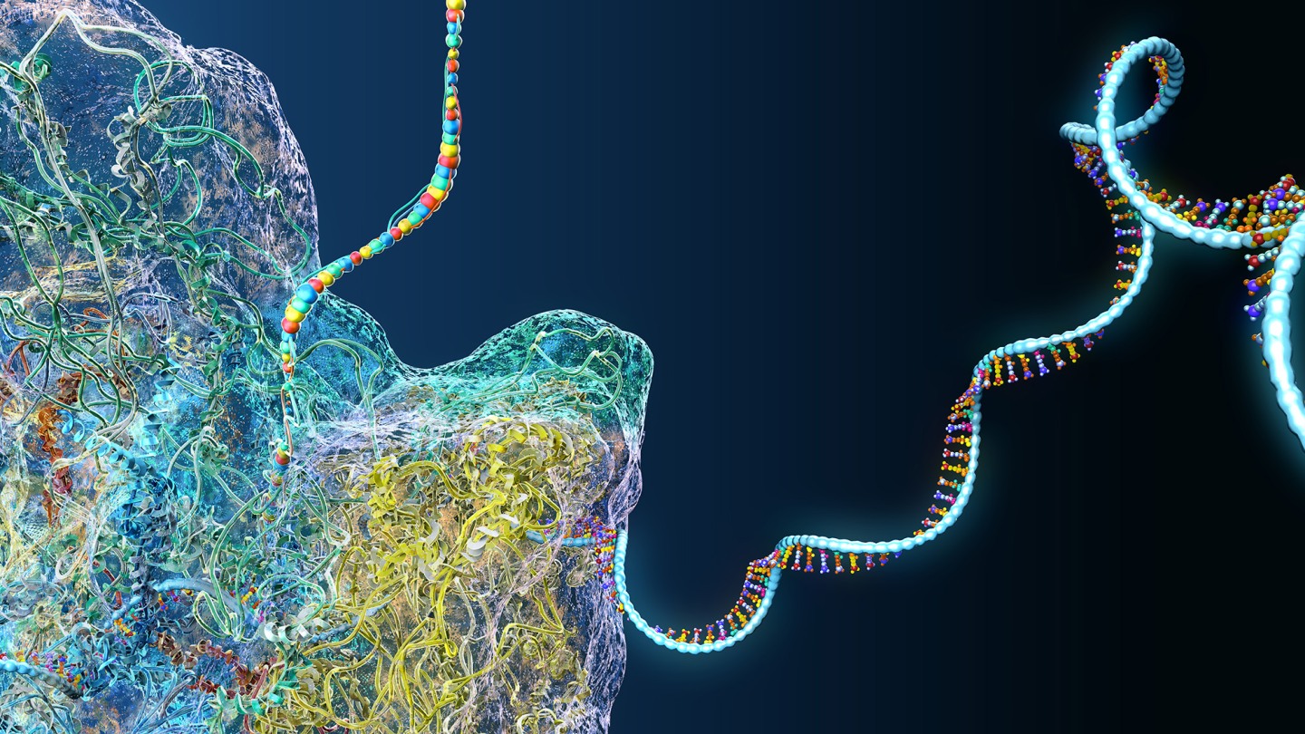 Advance RI-CTR to Bring First NanoString Molecular Imager to Rhode ...